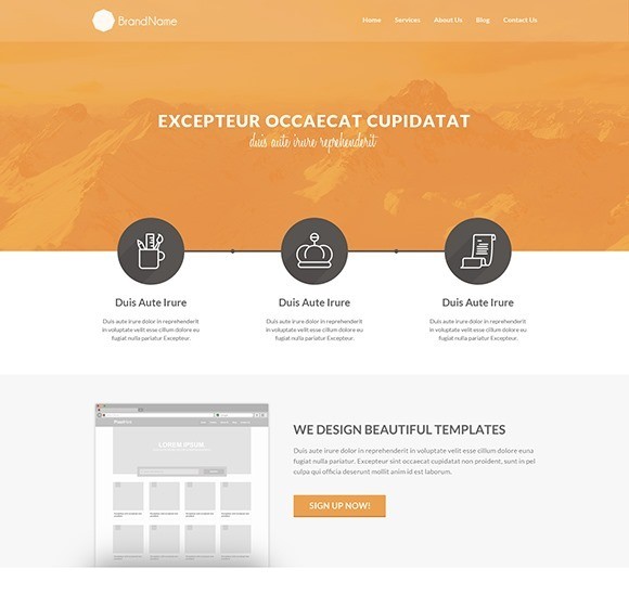 The 50 Best Free Responsive Web Templates