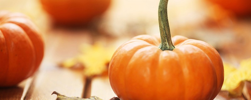 Heinen's 2-Weekend Fall Fest Celebration Opens October 6th! - 365Barrington