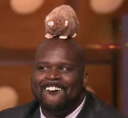 Shaq-ting a Fall! 8 of the Funniest Memes of Shaq’s Fall