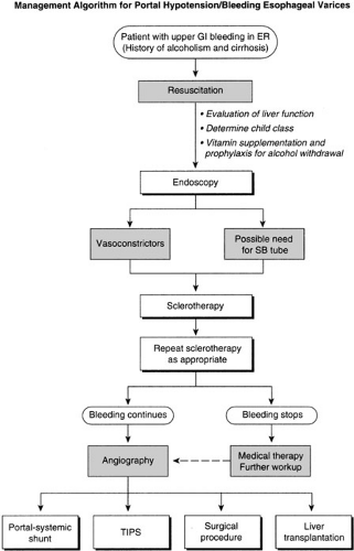 Liver Disease: Portal Hypertension | Abdominal Key