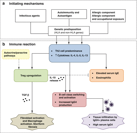 Igg4 Related Sclerosing Cholangitis Abdominal Key