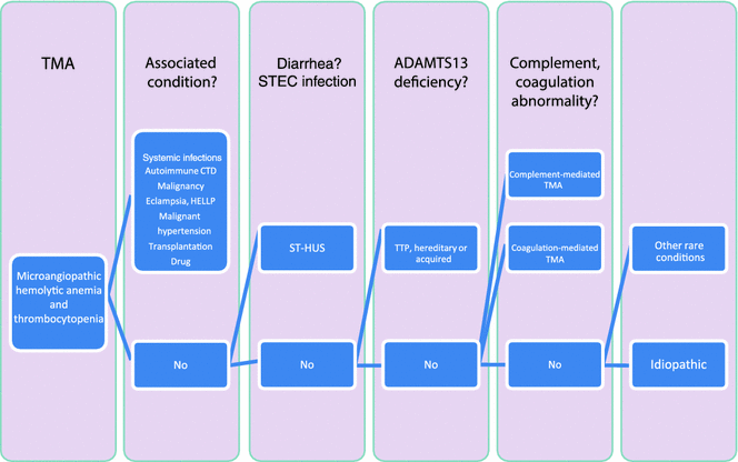 Infection-Associated Thrombotic Microangiopathy | Abdominal Key