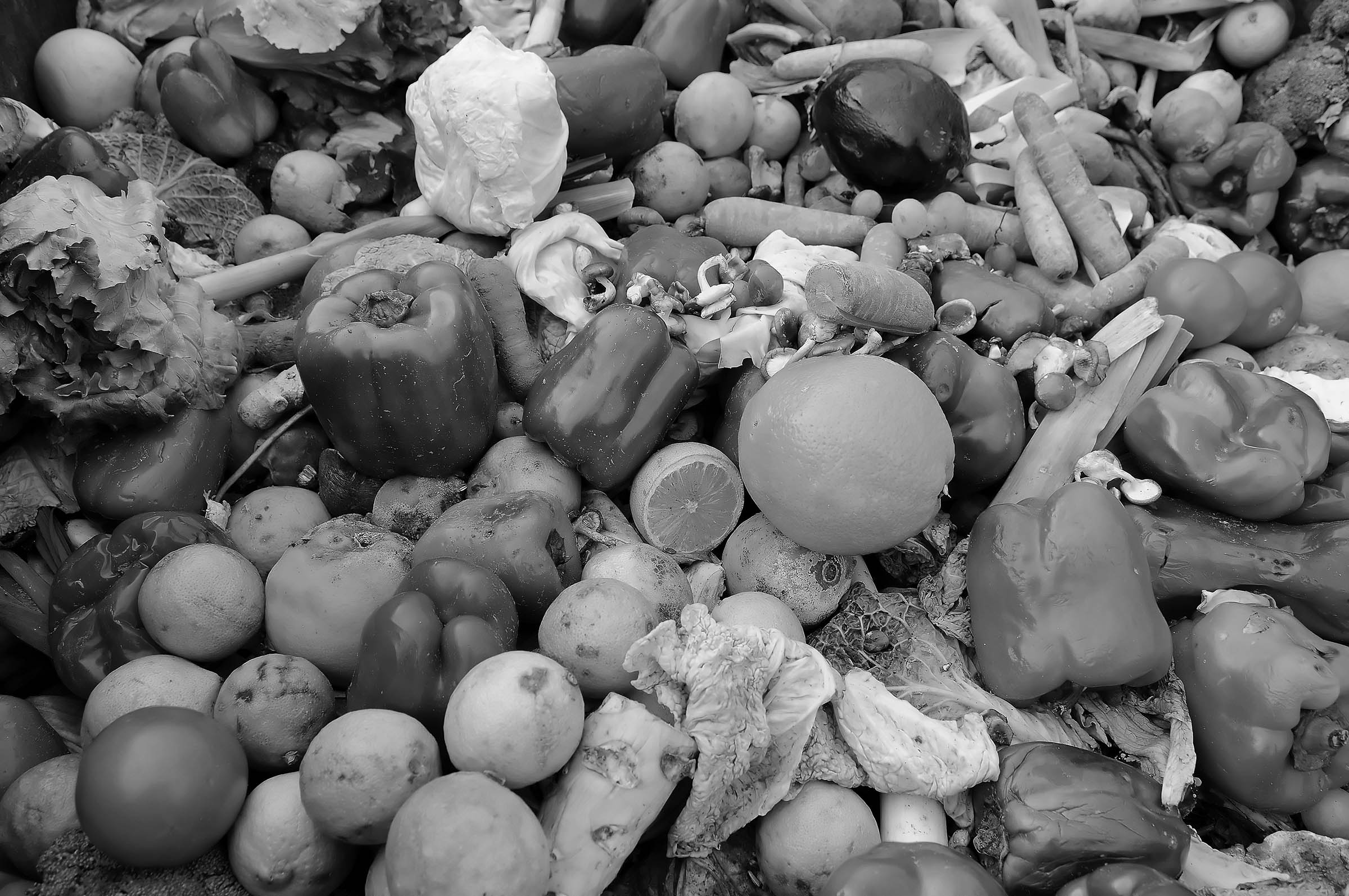 Food scrapping done right.