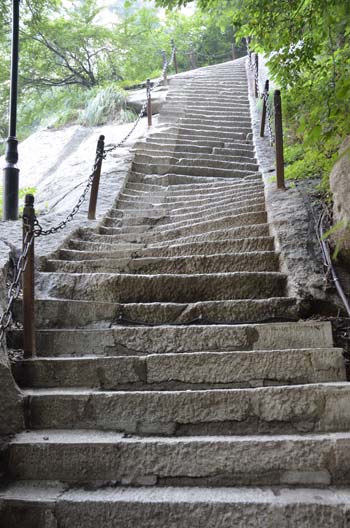 Crooked Steps - Adventure Without End
