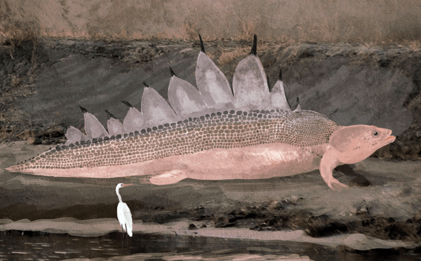 'Cryptozoologicon: Volume 1' speculates on cryptid biology