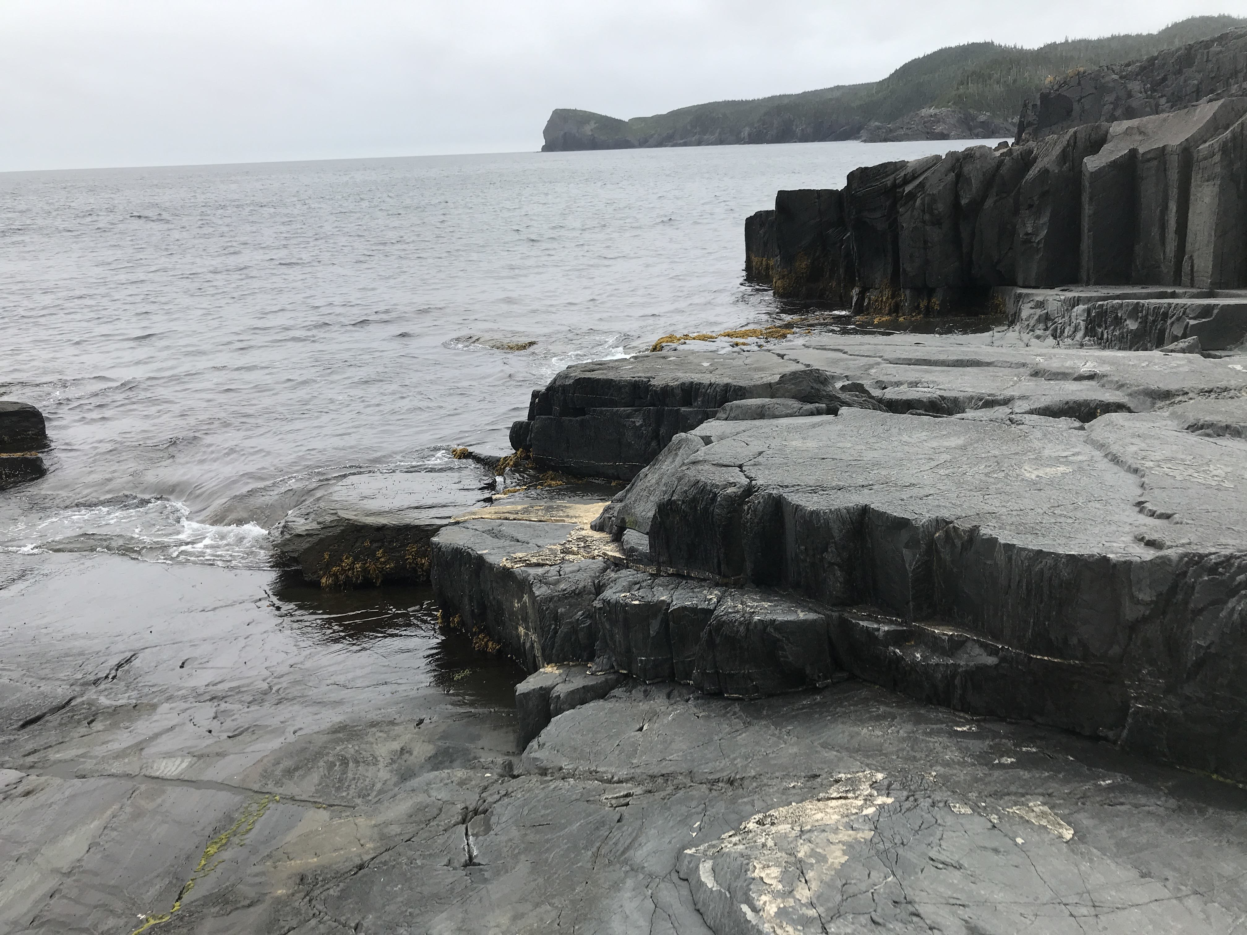 Avalon Wilderness Reserve & East Coast Trail – Airstream Time