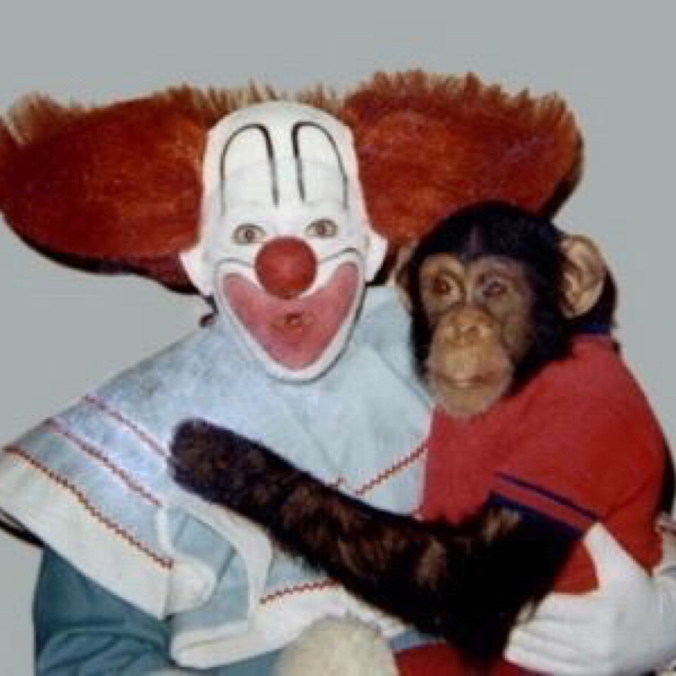 Rob interview – The amazing Rob – Entertainer