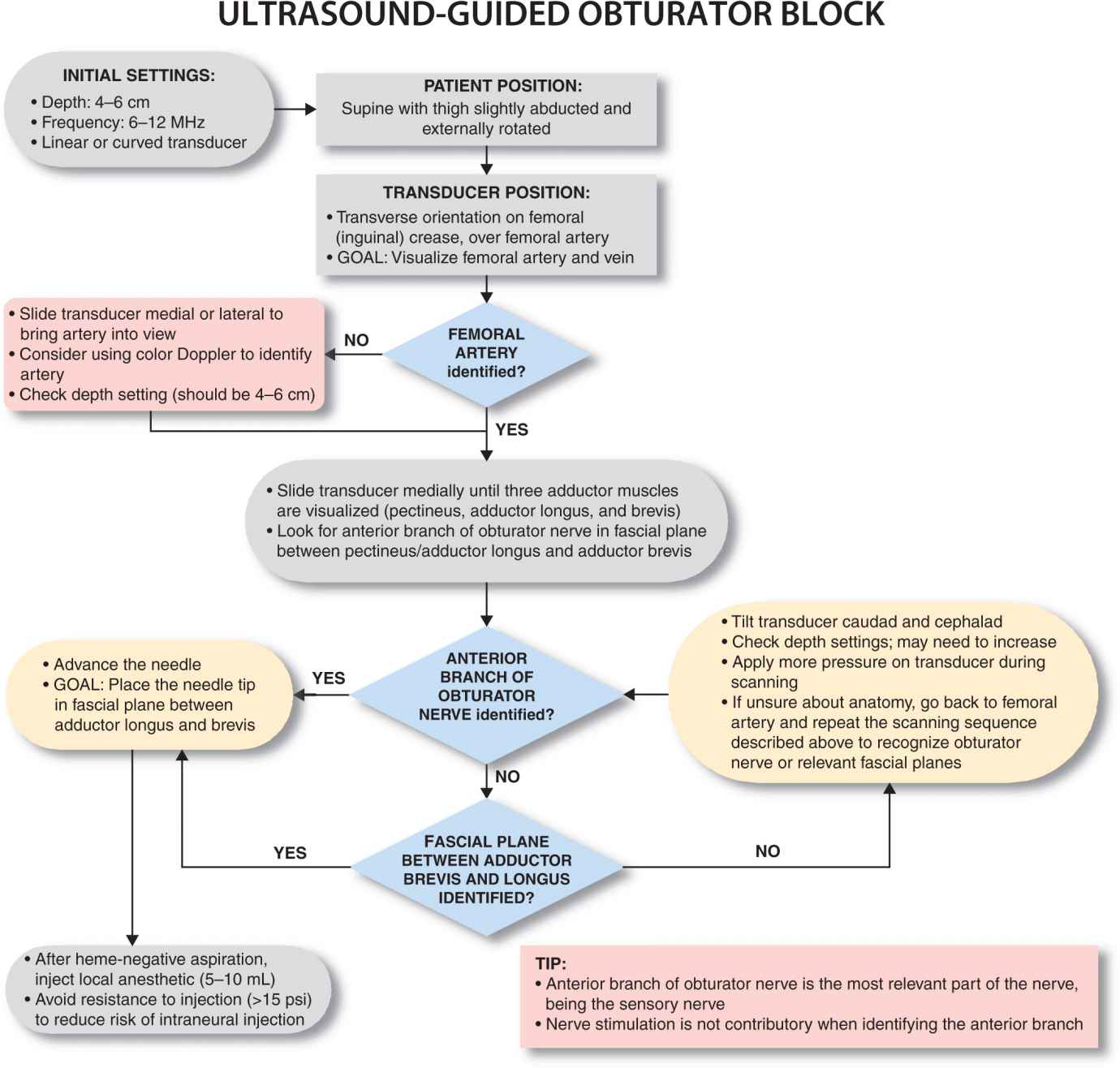 Ultrasound-Guided Obturator Nerve Block | Anesthesia Key