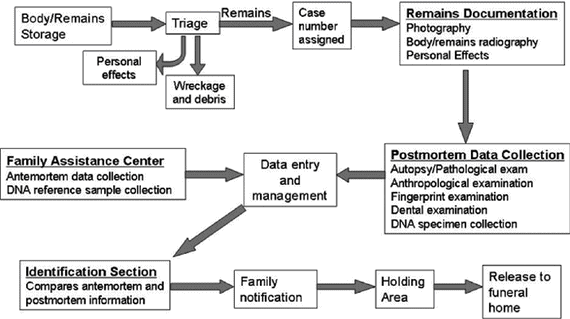 Mass Fatality Management | Anesthesia Key