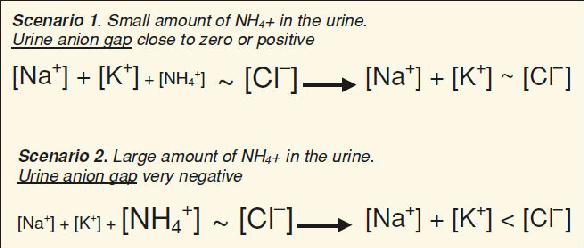 Blood Gas Analysis and Acid–Base Disorders | Anesthesia Key