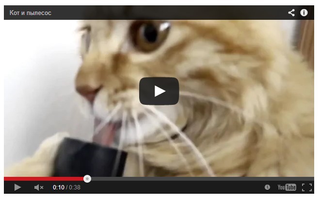 Embed Youtube Videos With Angular Youtube Embed Directivve Angular Script