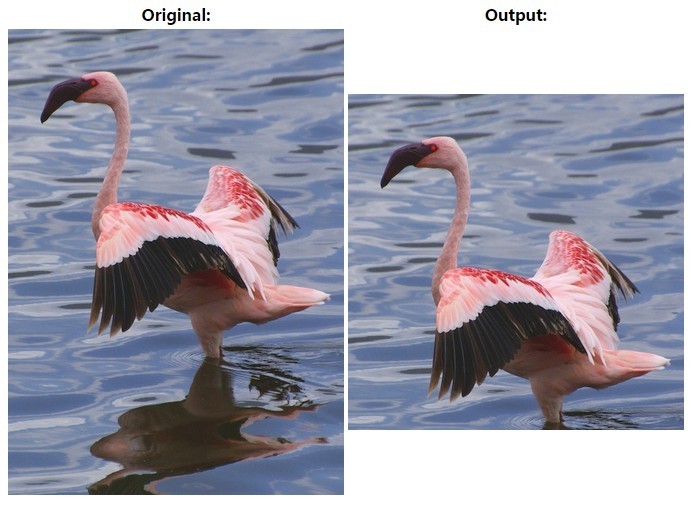 Angularjs Directive To Produce Square Image From Url Angular Script