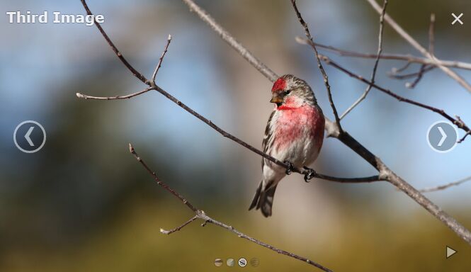 Angular Directive For Blueimp Gallery | Angular Script Angular Directive For Blueimp Gallery | Angular Script