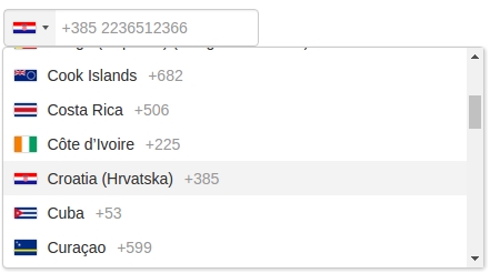 International Telephone Input For Angular | Angular Script