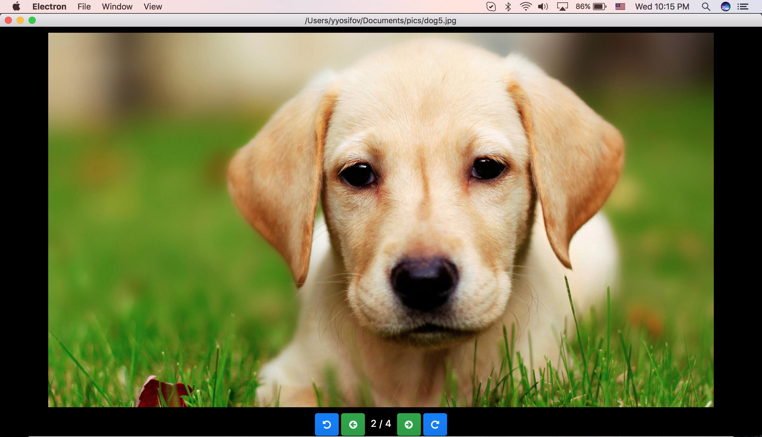 Cross-platform Image Viewer With Angular 4+ | Angular Script