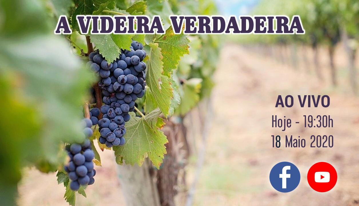 A Videira Verdadeira – Lições impressionantes – Ao Deus Único