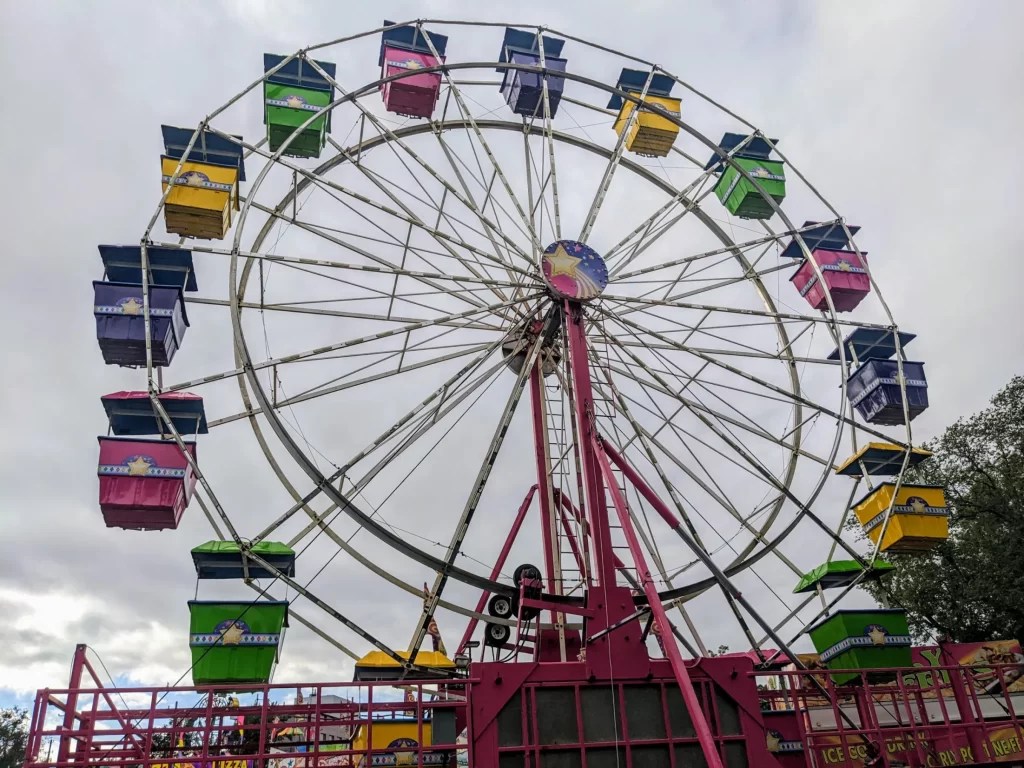 Project 365 2021-2022 – Apollo Lemmon