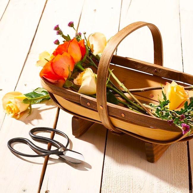 trug | Arnold Zwicky's Blog