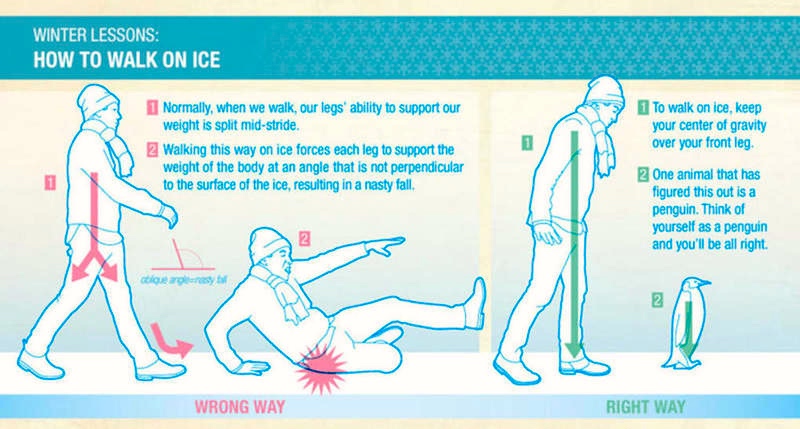 Emulate the penguin | Arnold Zwicky's Blog