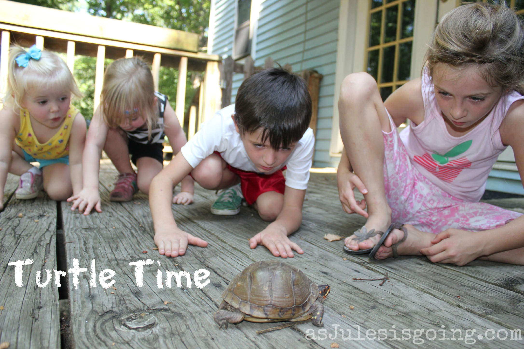 Last Week VS This Week - as Jules is going