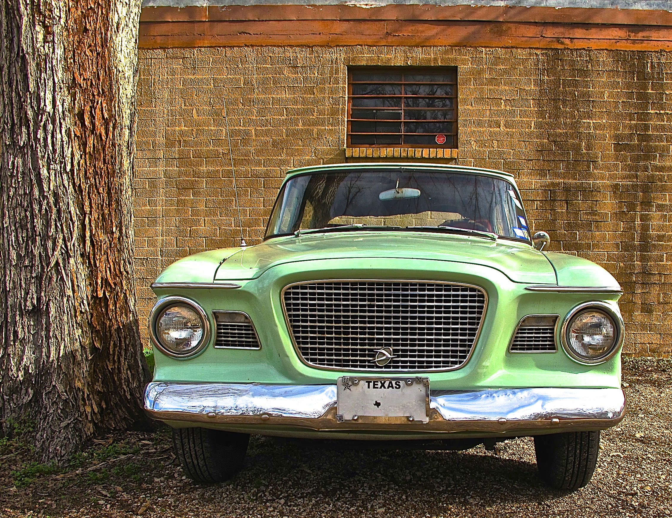 Studebaker | ATX Car Pictures | Real Pics from Austin TX Streets ...