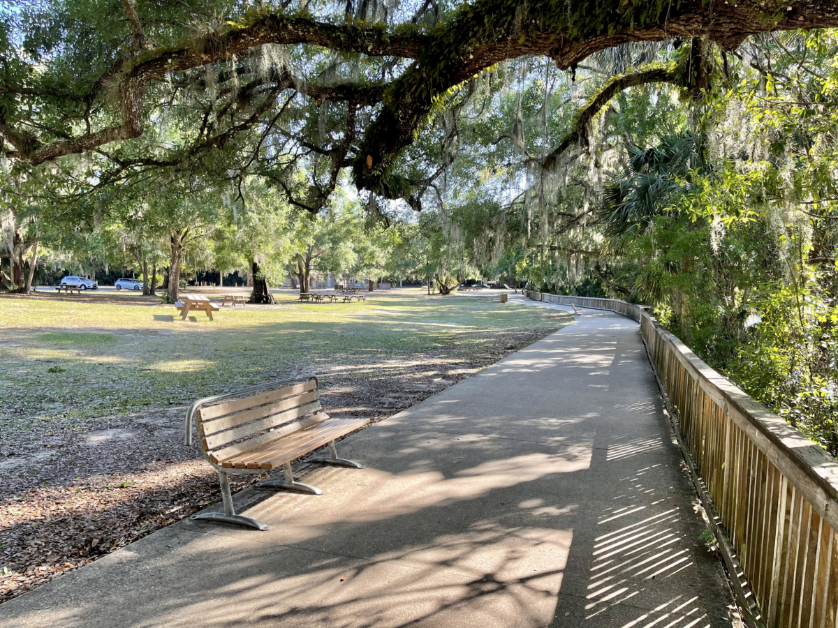 Discover Florida's Blue Spring State Park & Campground
