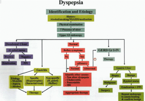 Dyspepsia | Basicmedical Key