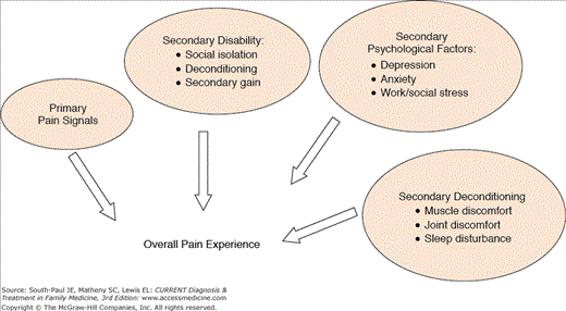 Chronic Pain Management | Basicmedical Key