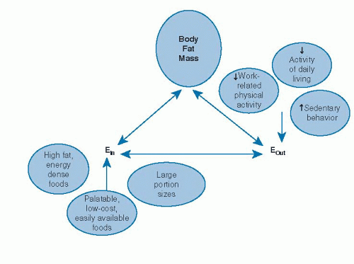 Obesity: Epidemiology, Etiology, and Prevention1 | Basicmedical Key