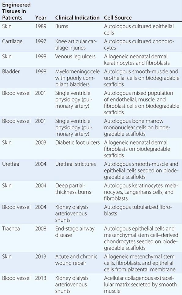 Tissue Engineering | Basicmedical Key