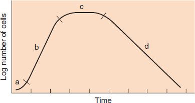 Growth | Basicmedical Key