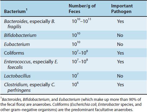Normal Flora | Basicmedical Key
