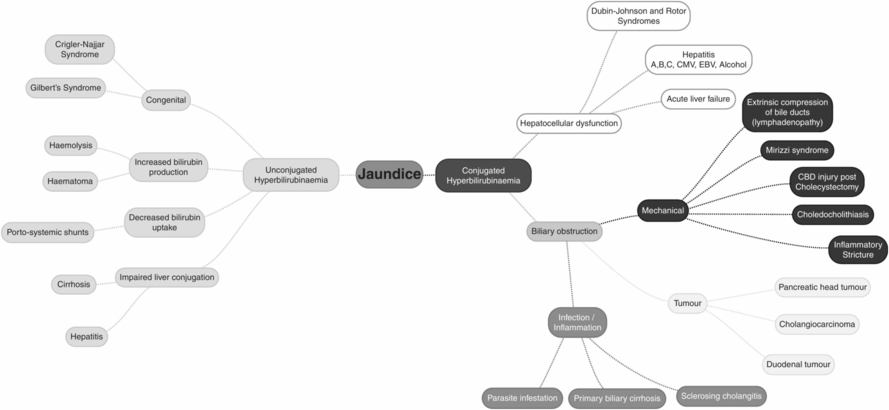 Examination of peripheral stigmata of disease in general surgery ...