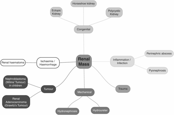 Examination of the abdomen | Basicmedical Key
