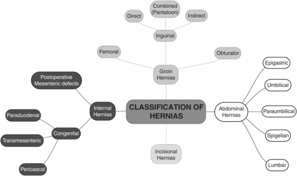 Examination of the groin | Basicmedical Key