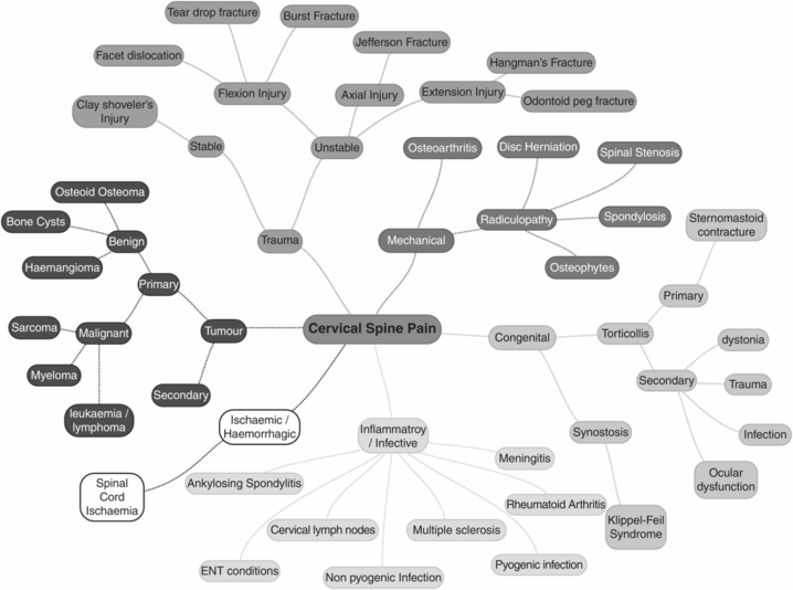 Global neurological examination | Basicmedical Key