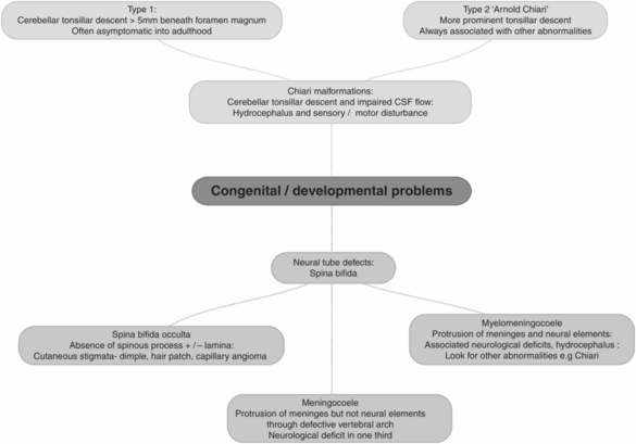 Focal neurological examination | Basicmedical Key