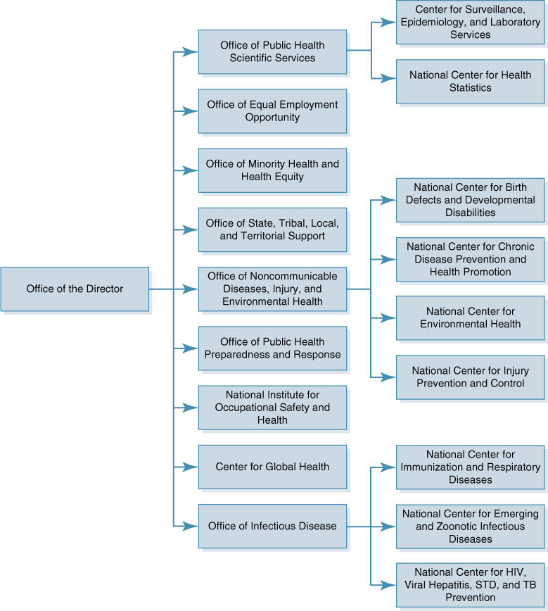 Powers and Responsibilities of Government | Basicmedical Key