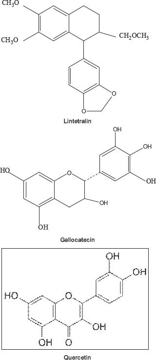 Overview of the Ayurvedic Medicinal Plant Phyllanthus amarus for its ...