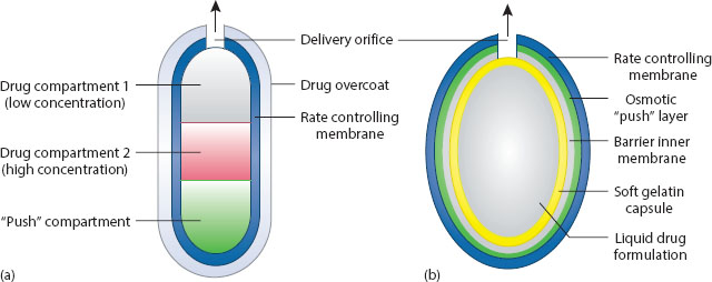 Oral Drug Delivery | Basicmedical Key