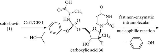 Sofosbuvir (Sovaldi) | Basicmedical Key