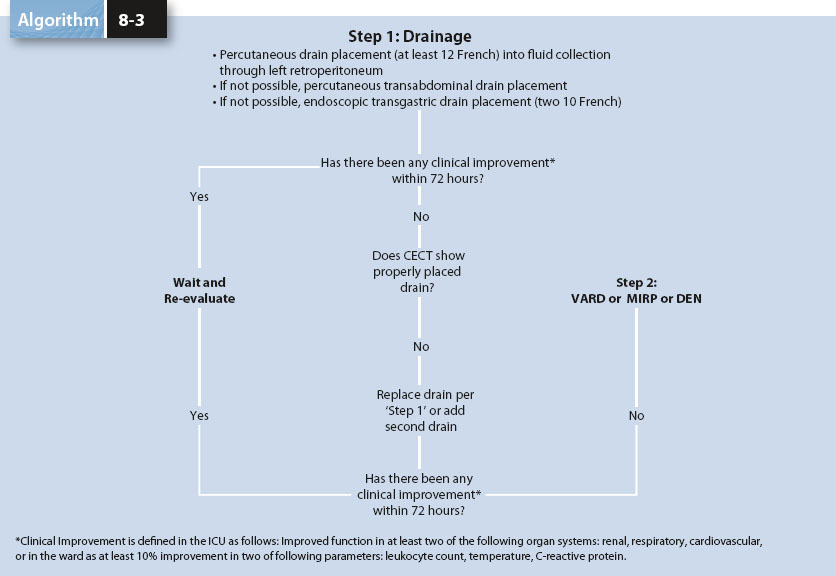 Surgical Infections | Basicmedical Key
