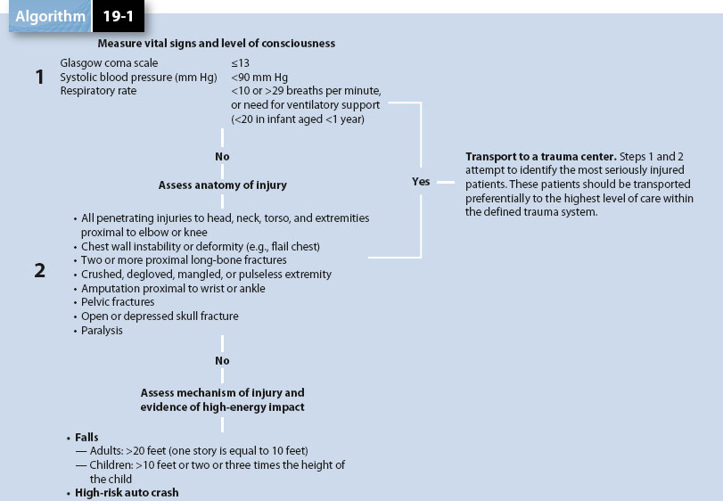 Trauma and Trauma Care: General Considerations | Basicmedical Key