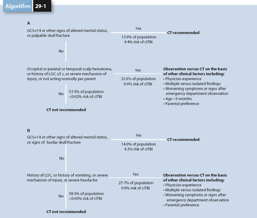 Pediatric Trauma | Basicmedical Key