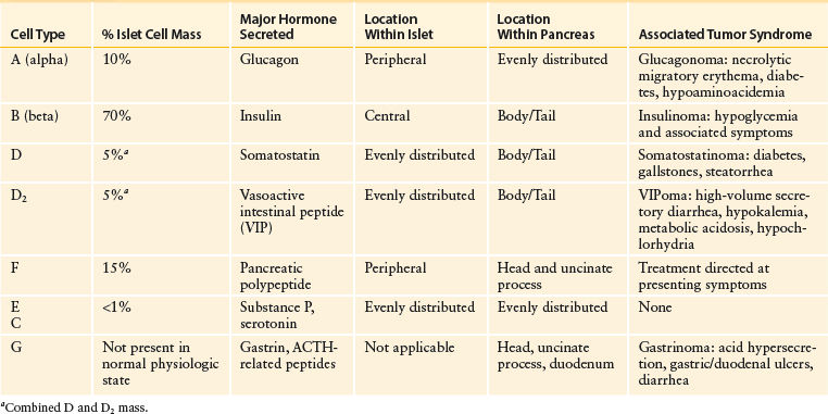 Pancreas Anatomy and Physiology | Basicmedical Key