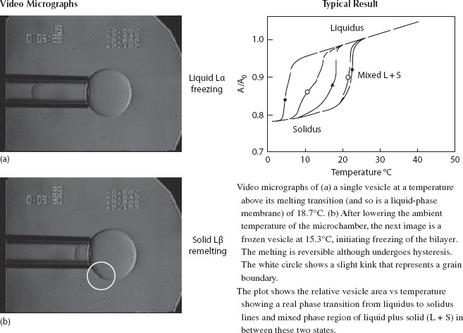 Bringing Research to Clinical Application: Lessons from ThermoDox®: A ...