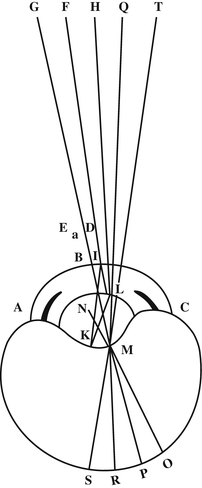 Simulation and the Eye | Basicmedical Key