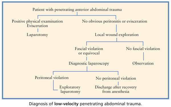 Trauma | Basicmedical Key