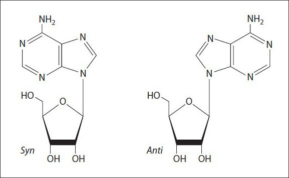 4 Nucleic Acids | Basicmedical Key