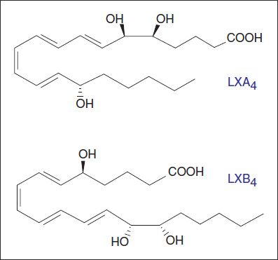 24 Lipids: Lipid Mediators of Inflammation | Basicmedical Key